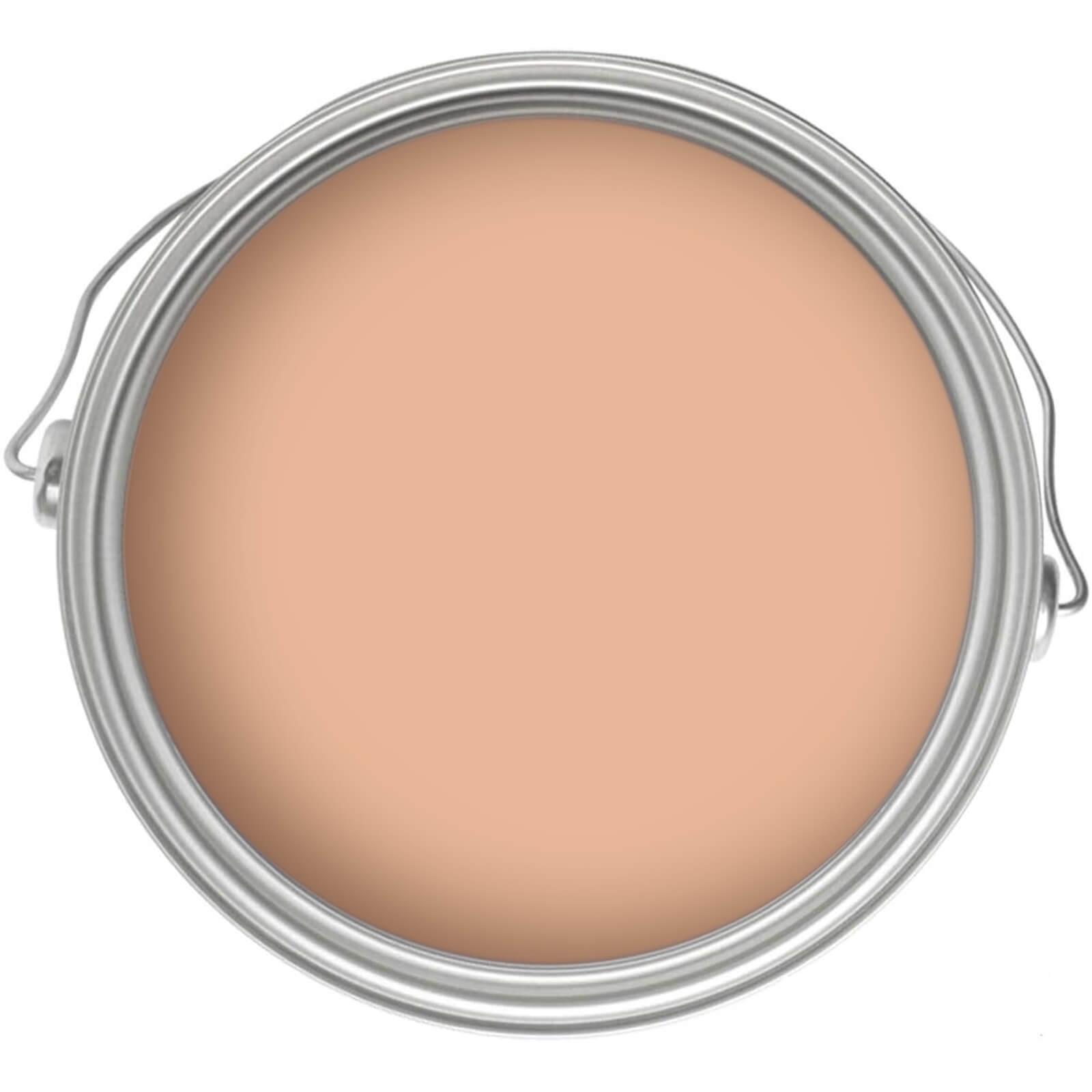 Craig & Rose 1829 Chalky Matt Emulsion Paint Tester 50ml - Choose ...